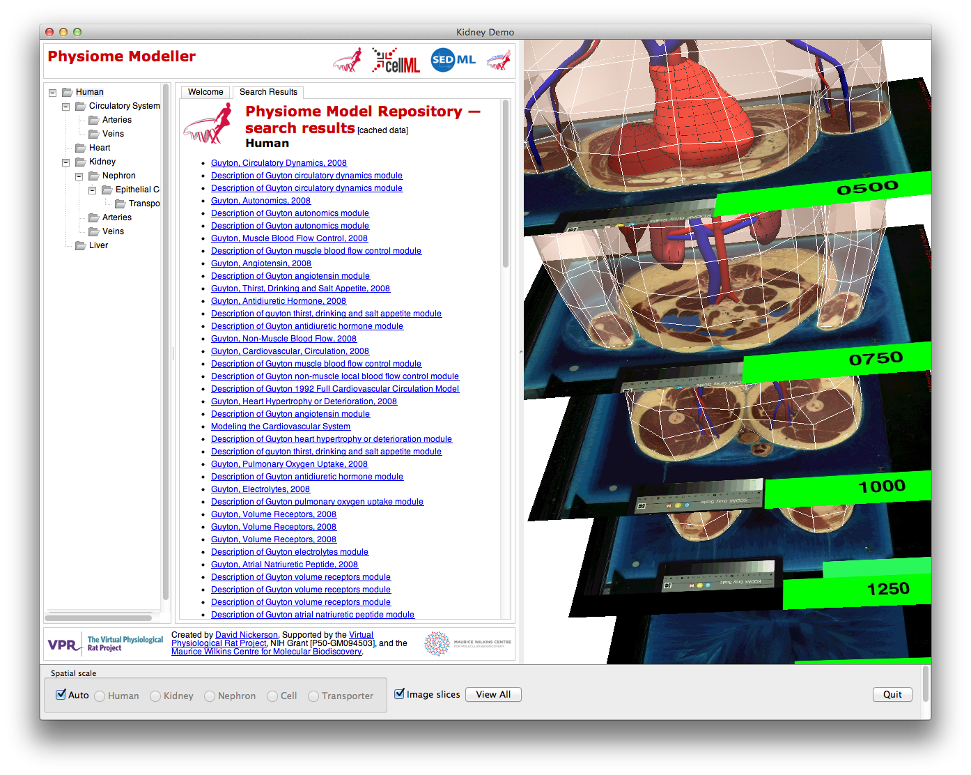 OpenCMISS Documentation